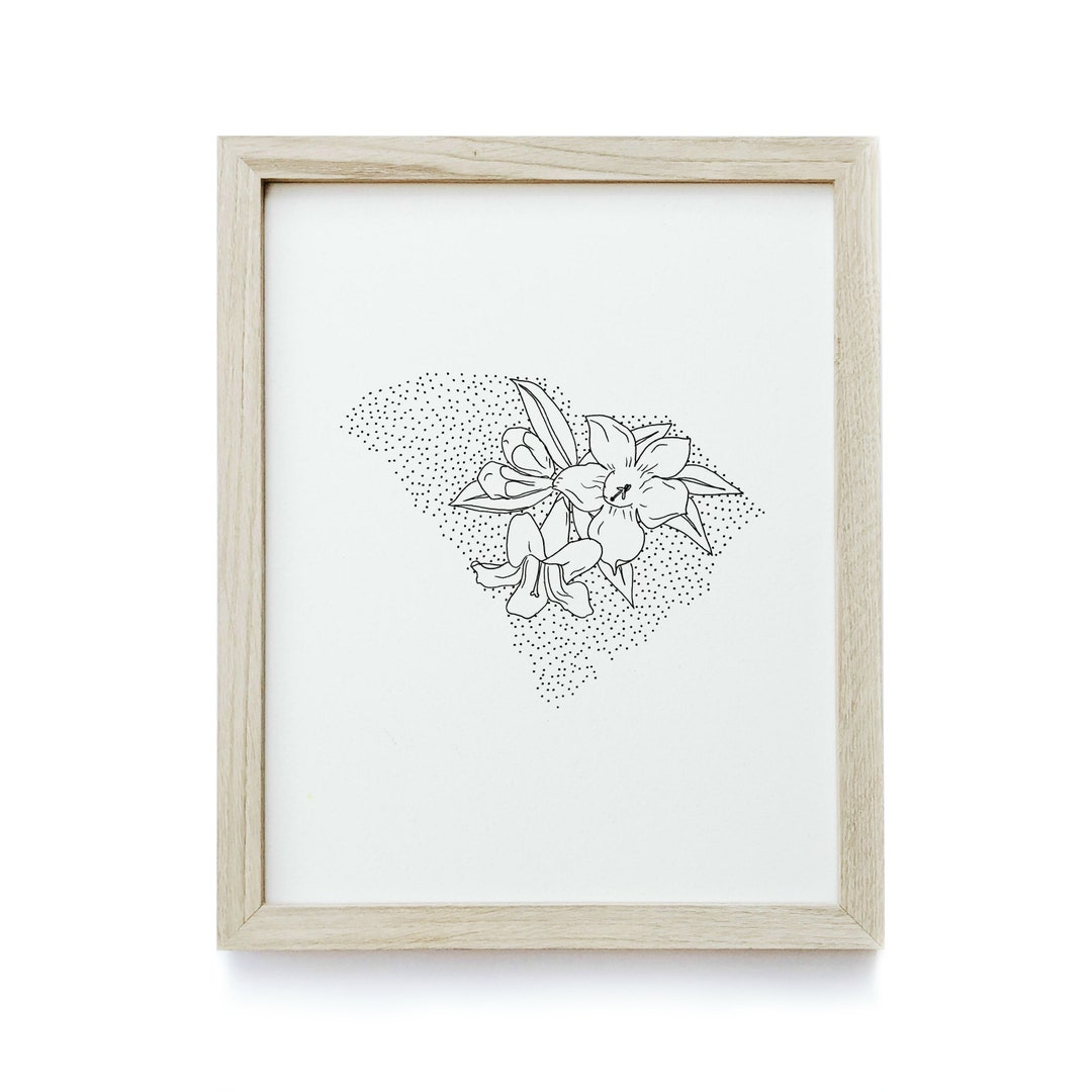 South Carolina + Yellow Jessamine - Minimal State Flower Drawing ...