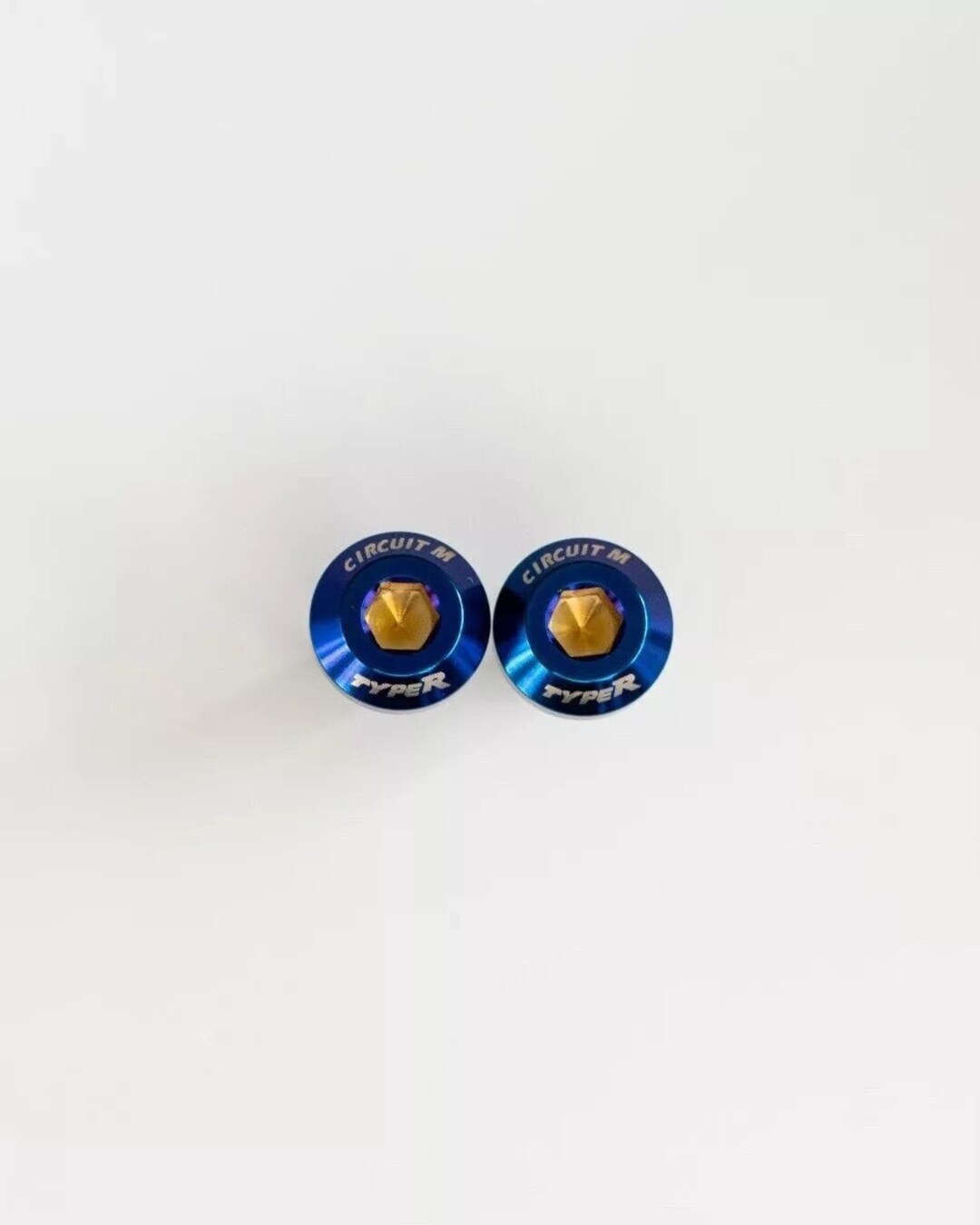 Type R Titanium License Plate Bolts for Acura RSX & Integra - Etsy