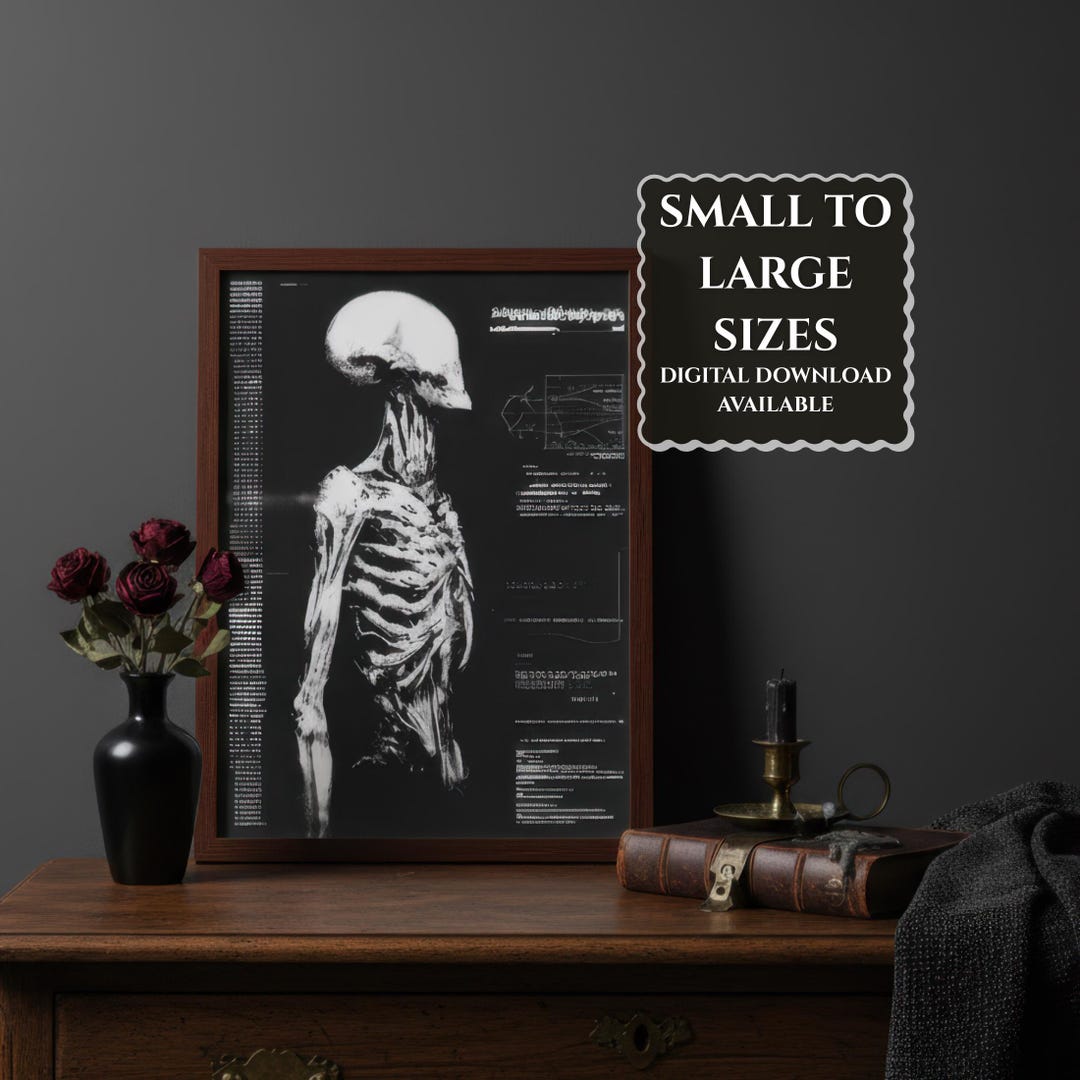 Black-ops X-ray – Monochrome Alien Anatomy Scan, Classified UFO Wall ...