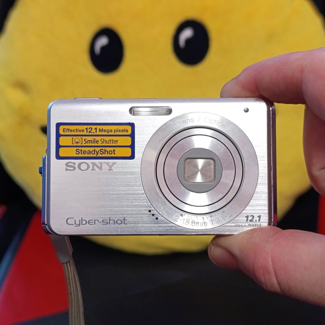 Sony Cybershot DSC-W190 12MP Compact Digital Camera Silver SD 8 Gb ...