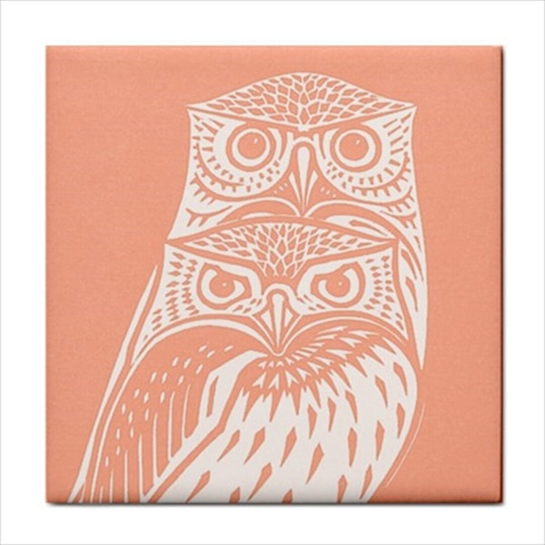 Peach Owls Ceramic Tile Backsplash Home Wall Decor De Graag Art 4.25 ...