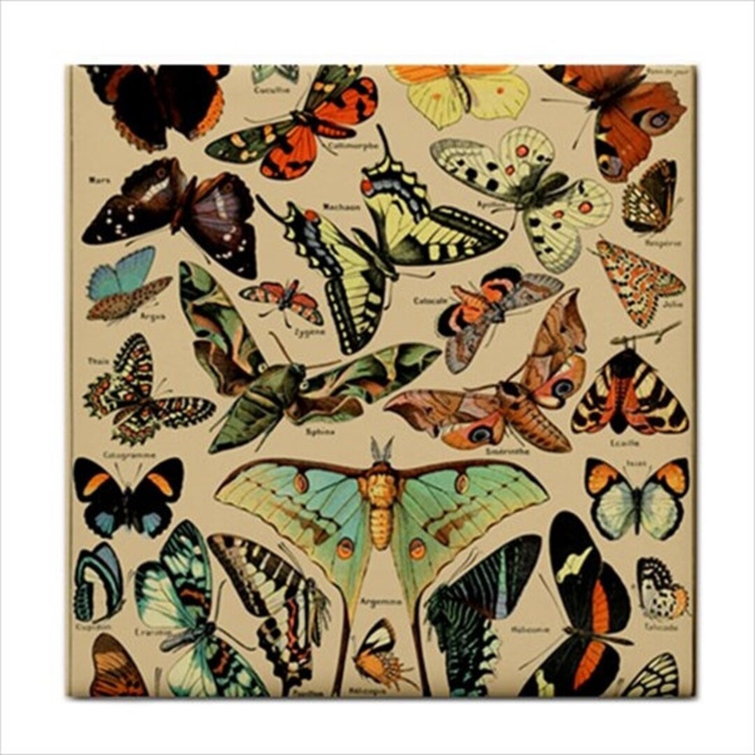 Butterfly Moth Art Vintage Style Decorative Border Backsplash Ceramic ...