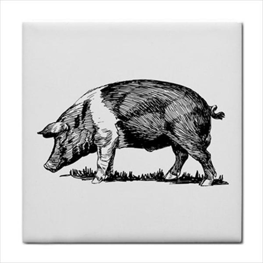 Pig Ceramic Tile Art Backsplash Home Wall Decor 4x4, 6x6 or 8x8 Inch ...