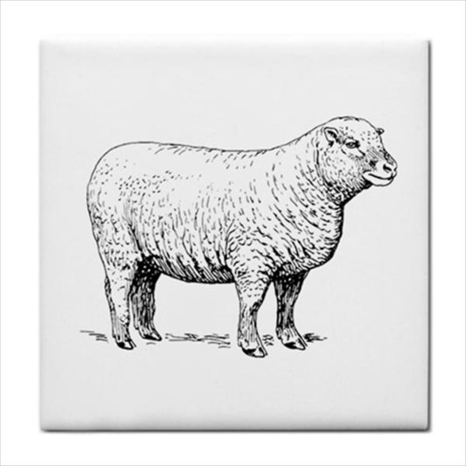 Sheep Ceramic Tile Art Backsplash Home Wall Decor 4x4, 6x6 or 8x8 Inch ...