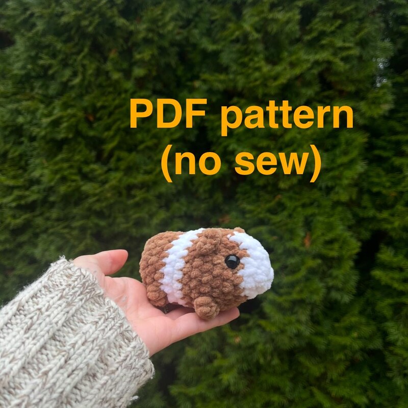 Crochet House Guinea Pig - Etsy