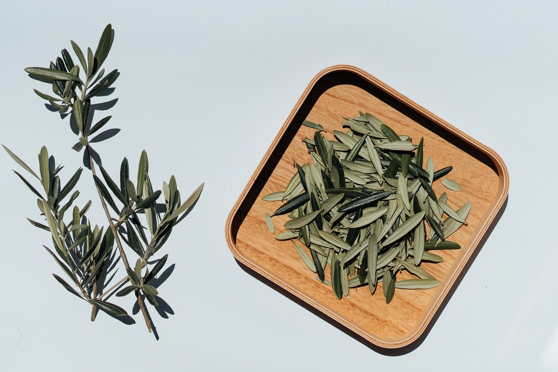 Olive Leaves | Fresh or Dried | Wedding Natural Olive Leaves | Olive ...