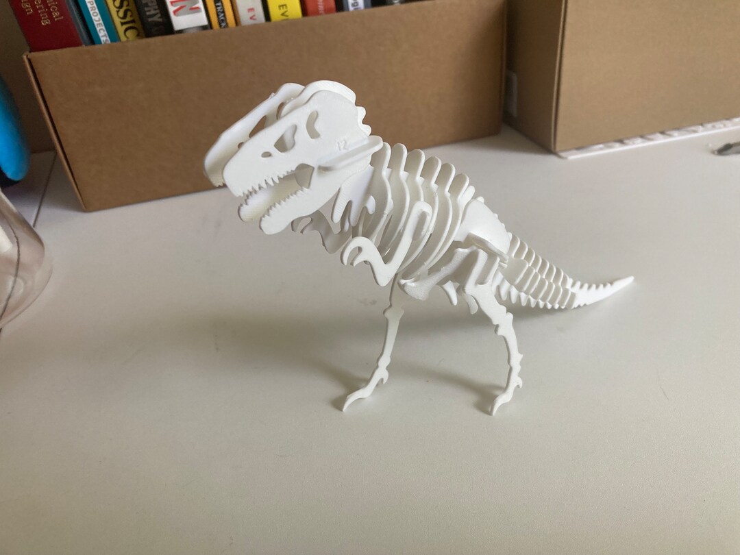 T-rex Skeleton Model Kit - Etsy