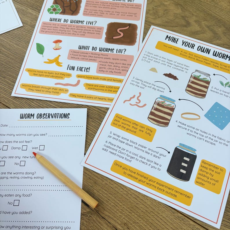 Worm Life Cycle Mini Study: Montessori Nature Activity (PDF ...
