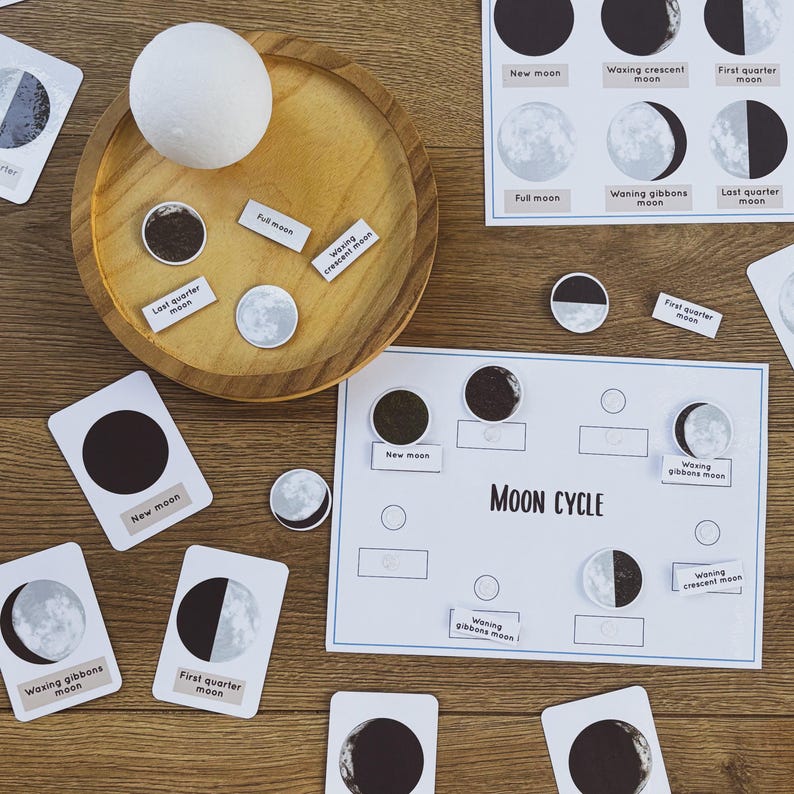 Moon Phase Study: Homeschool Printable Activity Pack (digital Download ...