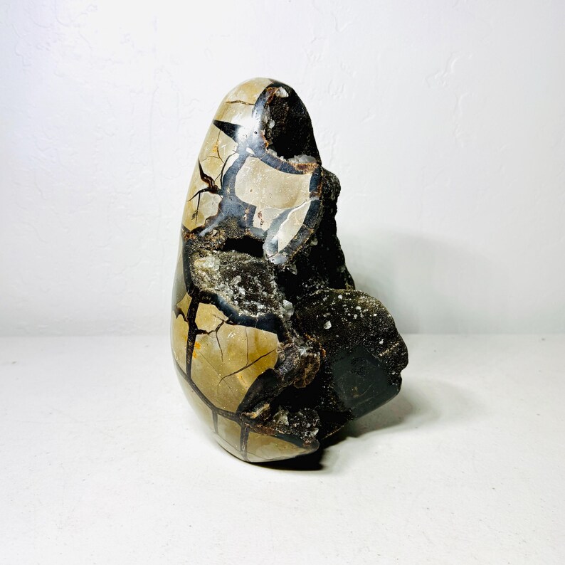 Large Black Septarian Dragon Stone Freeform With Crystal Accents – 11.3 ...