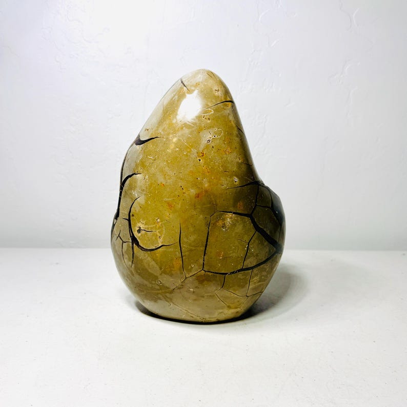 Large Black Septarian Dragon Stone Freeform With Crystal Accents – 11.3 ...