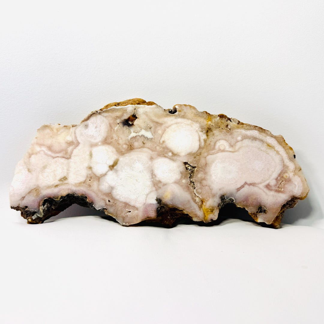 Long Natural Agate Slab With Orbicular White Formations & Earth-tone ...