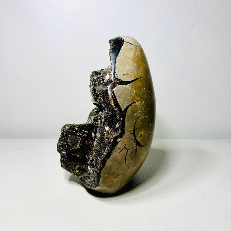 Large Black Septarian Dragon Stone Freeform With Crystal Accents – 11.3 ...