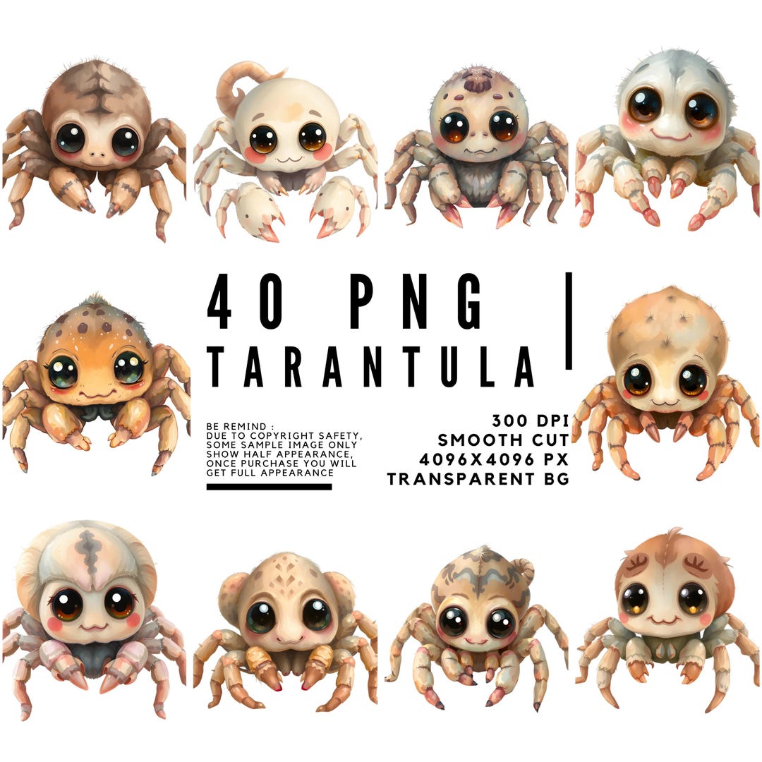 Tarantula Clipart Pack | 40 Transparent PNG Files | Digital Download ...