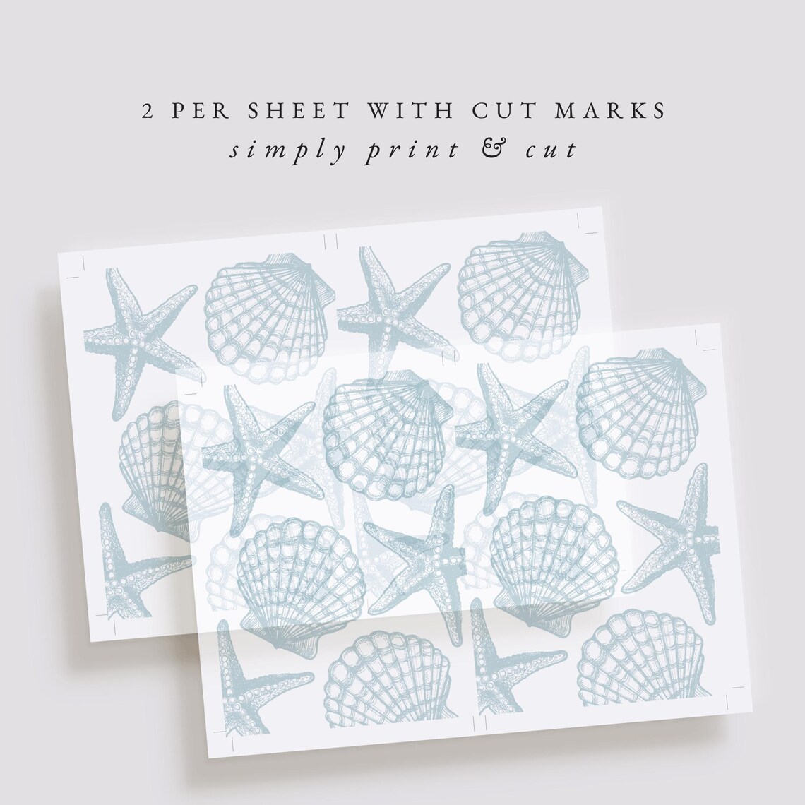 Teal Shell Starfish Vellum Overlay: Beach Wedding Invitations (DIY ...