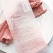 Clear Wedding Menus With Name Card and Clip Printed Blush Pink ...