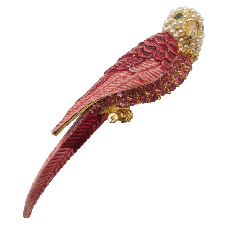 Parrot Pins - Etsy
