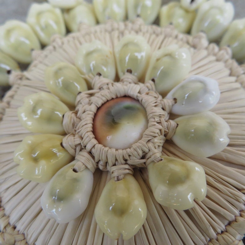 Huge Necklace Seashell Cats Eye Cowrie Vintage Bohemian Beaded Pendant ...