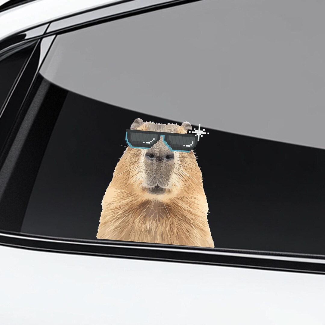 Capybara Sunglasses Peeker Peeking Car Window Decals - Bumper ...
