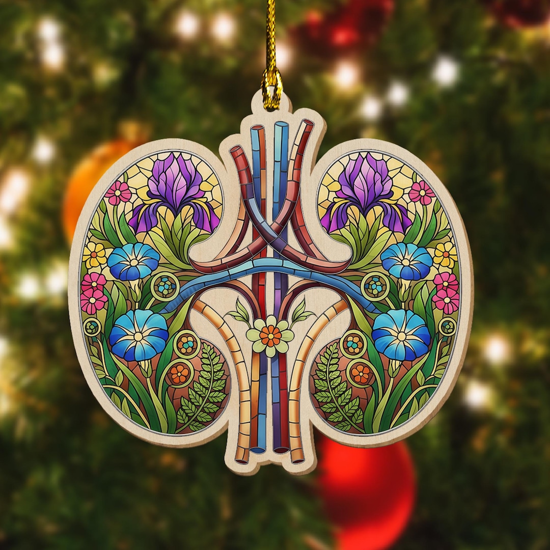 Anatomical Kidneys Ornament, Flat 2D Kidneys Ornament, Gift for ...
