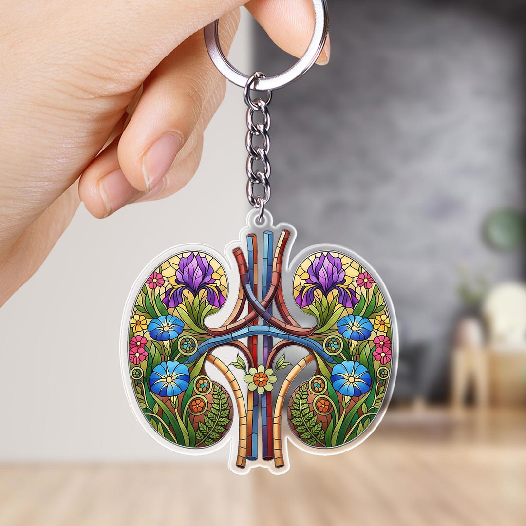 Anatomical Kidneys Keychain, Flat 2D Kidneys Keychain, Gift for ...