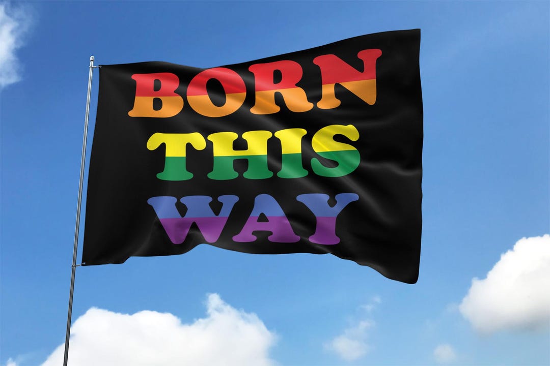 LGBTQ+ Pride House Flag/pride LGBTQ Human Rights Garden Flag/pride ...