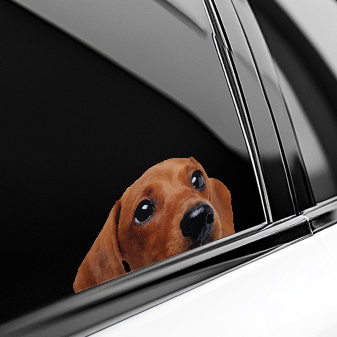 Dogs Bundle Peekaboo Peeker Peeking Car Window Decals - Dog Lovers ...