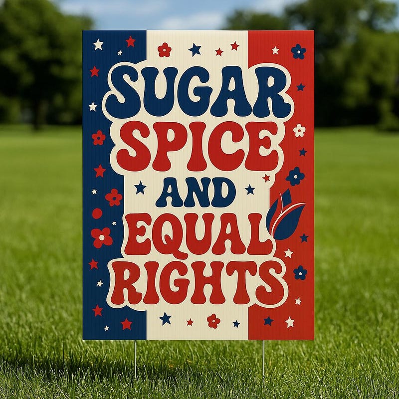 Ice Spice Flag - Etsy