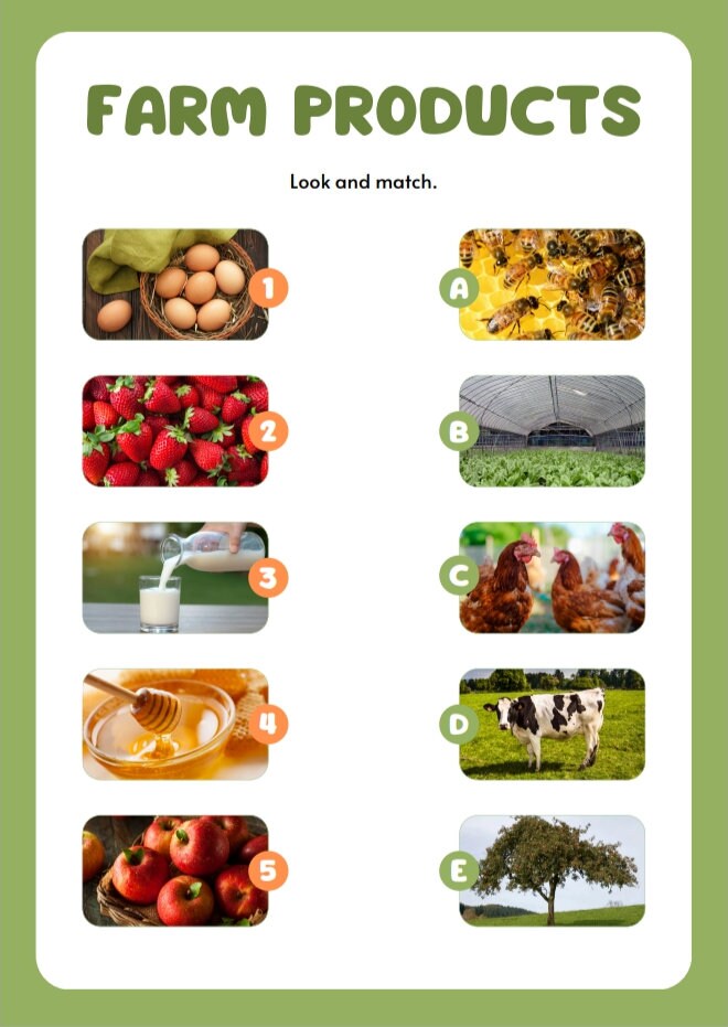 50 Fun Matching Sheets for Kids - Digital Download - 8.5x11 - Etsy