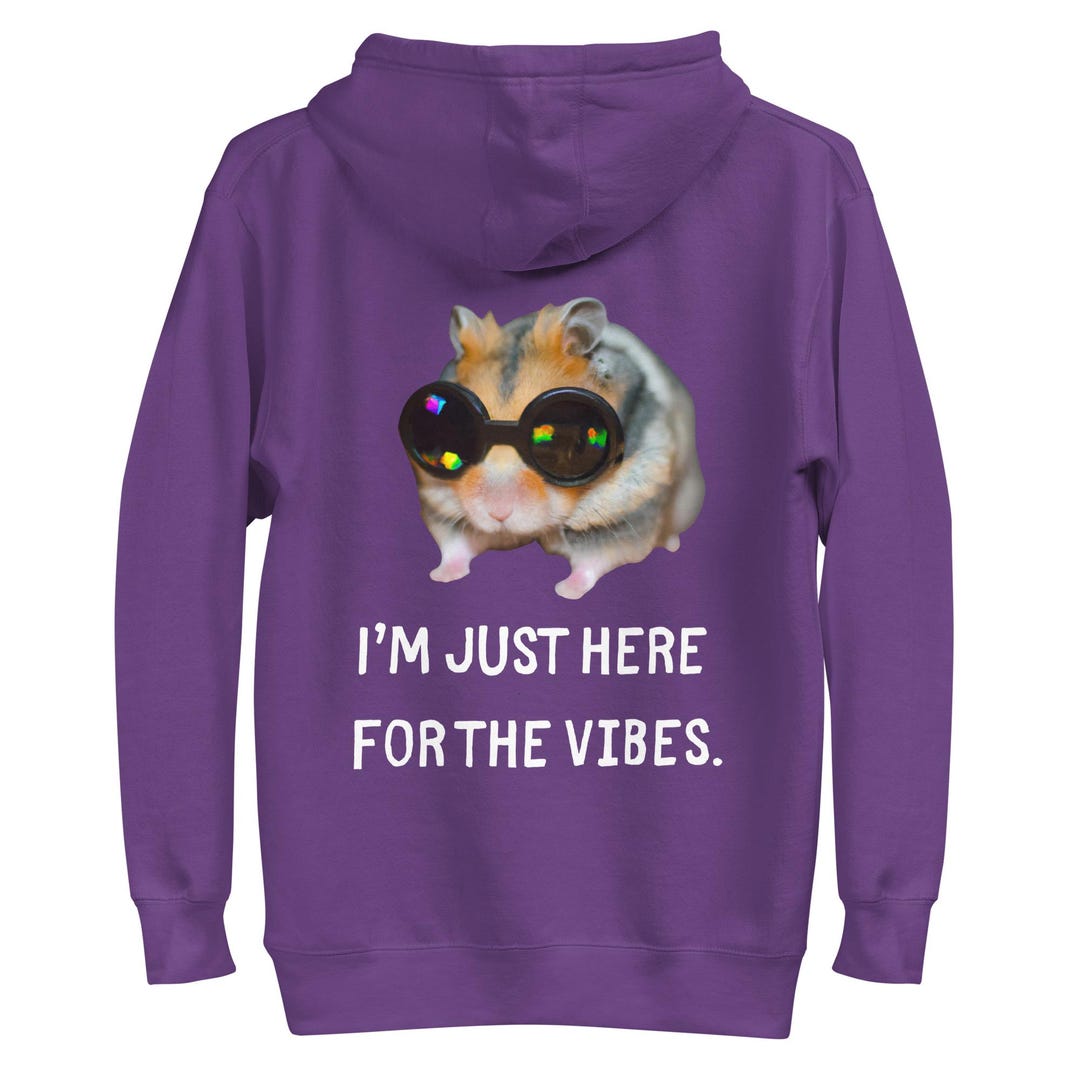 EDM Merch, Funny EDM Hoodie, Rave Hoodie, Funny Rave Hoodie, Trippy ...