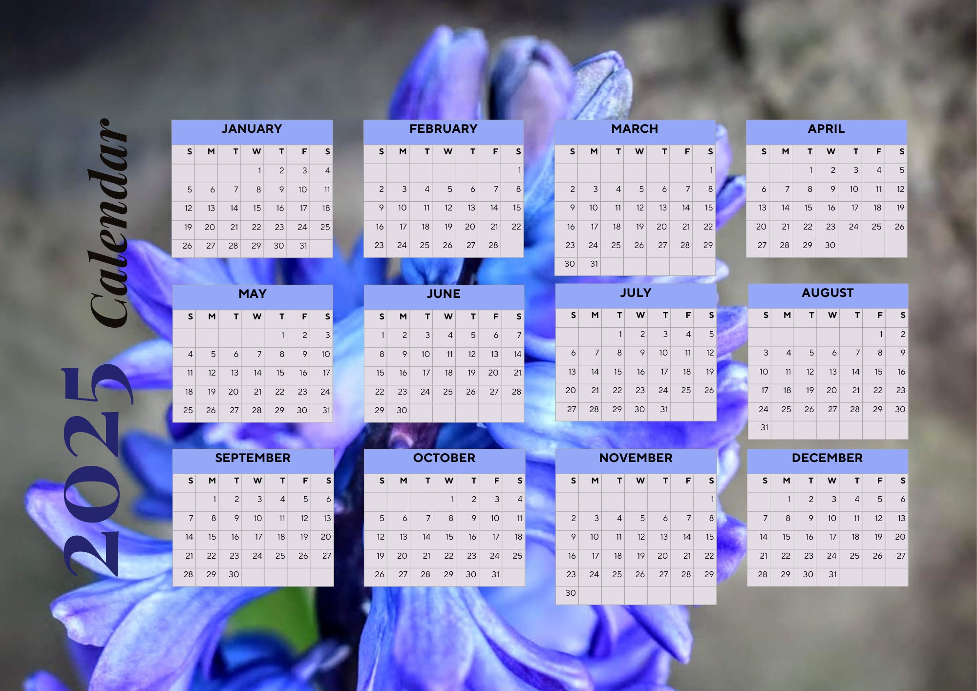 NEW 2025 Printable Dated Flower Theme Monthly Calendar/ Year-at-a ...