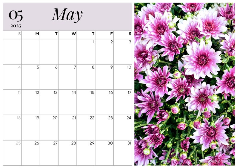 NEW 2025 Printable Dated Flower Theme Monthly Calendar/ Year-at-a ...