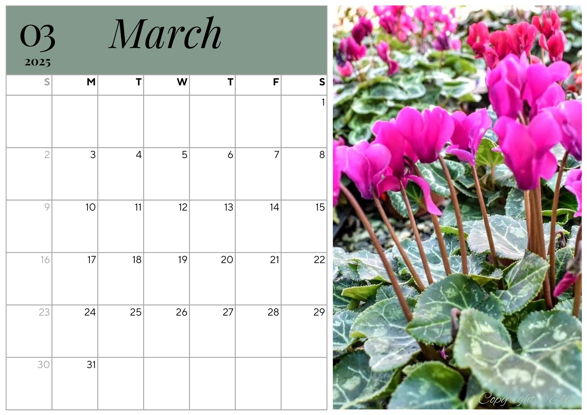 NEW 2025 Printable Dated Flower Theme Monthly Calendar/ Year-at-a ...