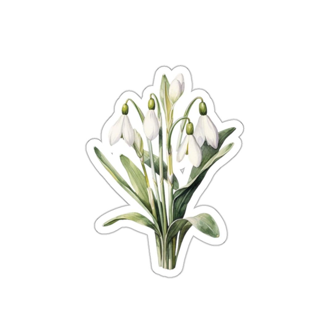 January Snowdrop Birth Month Flower Sticker, Zodiac Sticker, Bottle ...