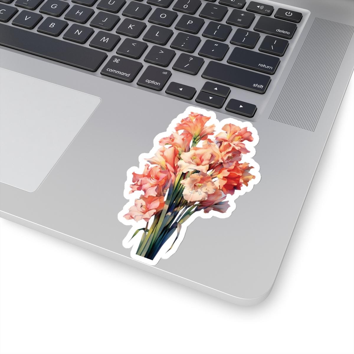 August Gladiolus Birth Month Flower Sticker, Zodiac Sticker Snowdrop ...