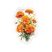 October Marigold Birth Month Flower Sticker, Zodiac Sticker, Watercolor ...