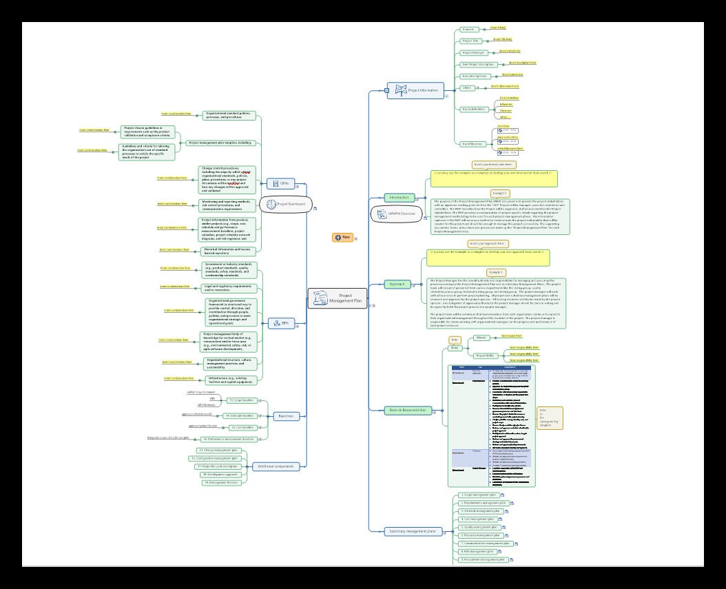 Project Management Plan – Template Incl. Instructions and Examples - Etsy