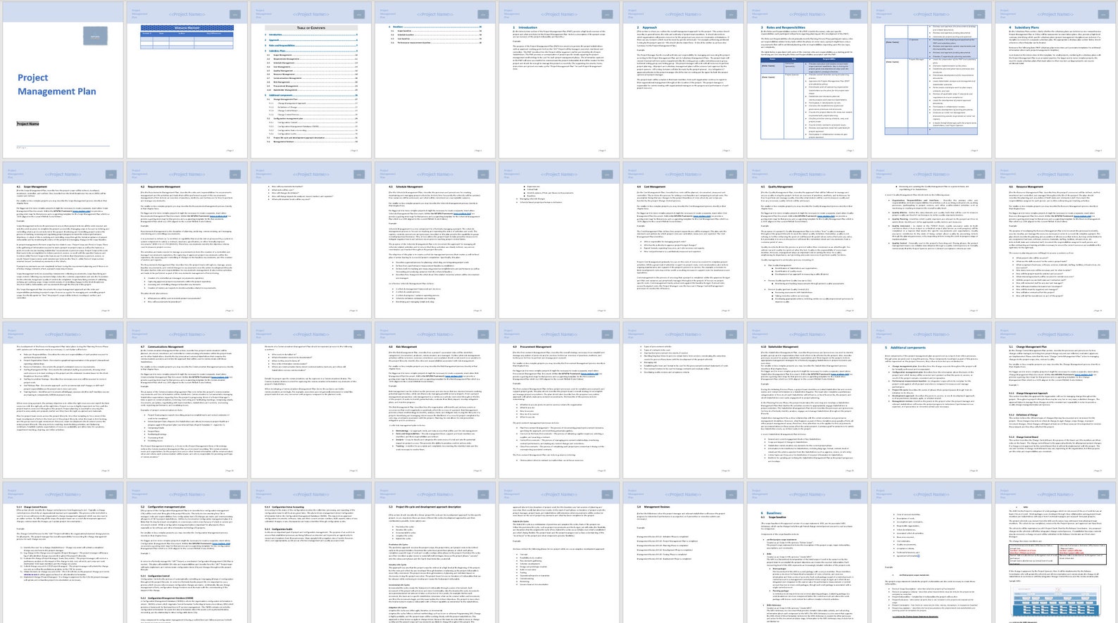 Project Management Plan – Template Incl. Instructions and Examples - Etsy