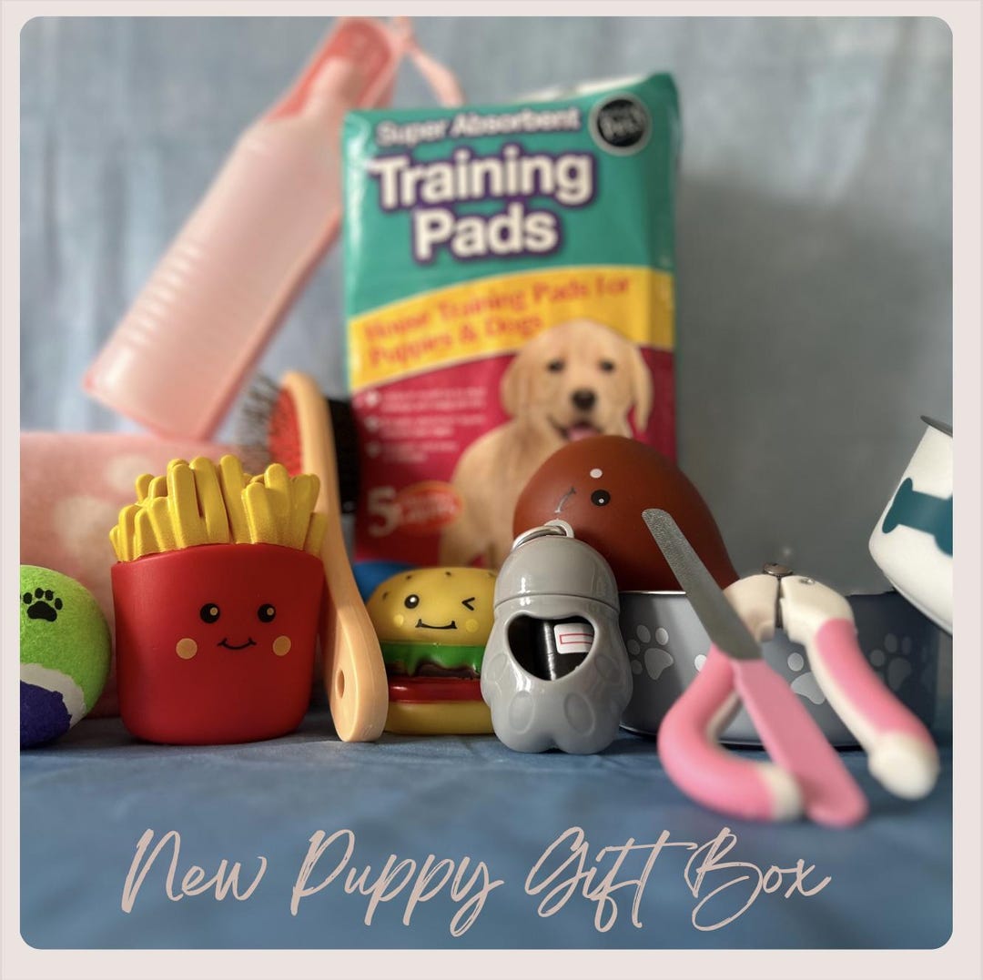 New Puppy Gift Box - New Puppy Care Package With Toys & Essentials ...