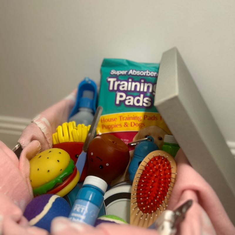 Dog Essentials - Etsy