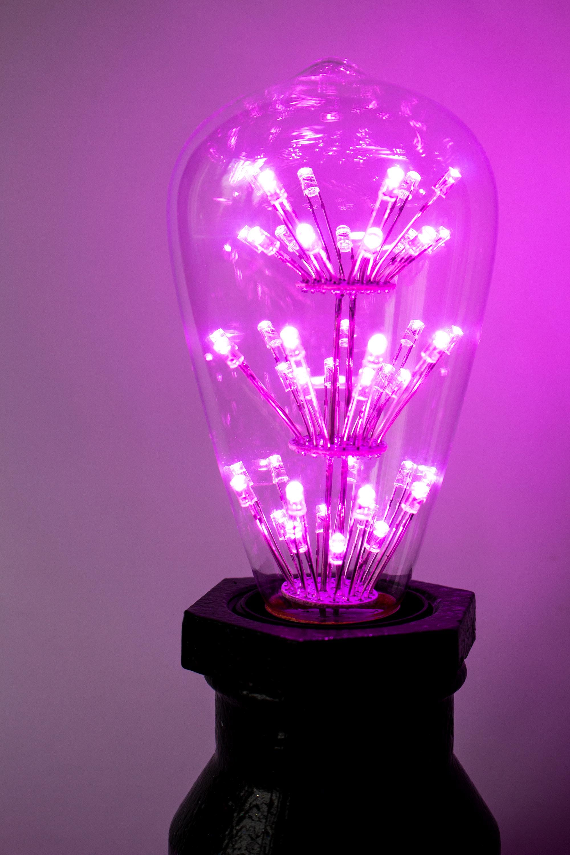 Light Bulbs, Edison Retro Bulbs 110V- 220V, Edison Lamp, LED Light Bulb ...