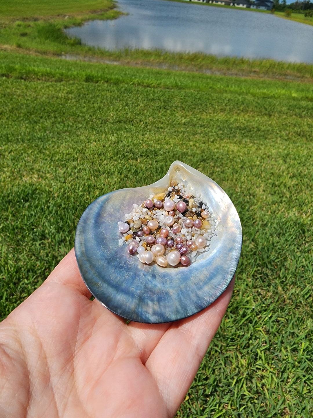 Seedless Loose Pearls on Sand and Clam Shell- Ocean Coatal Sea Table ...