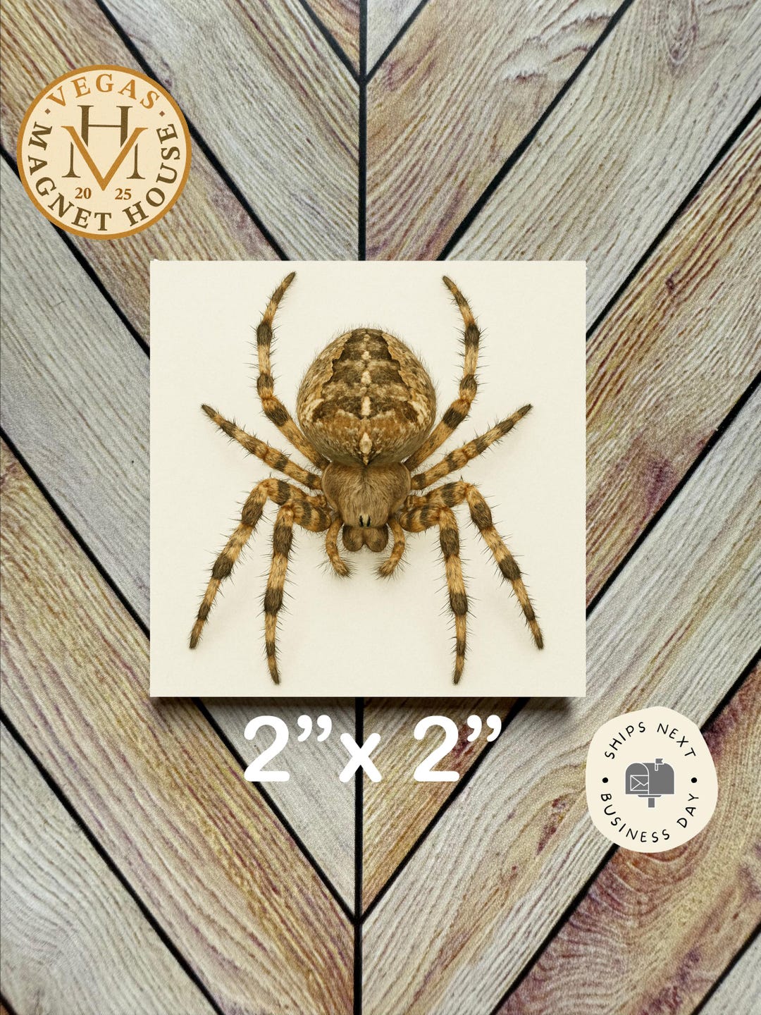 Spider Magnet 2x2": Decorative Fridge Magnet Gift - Etsy