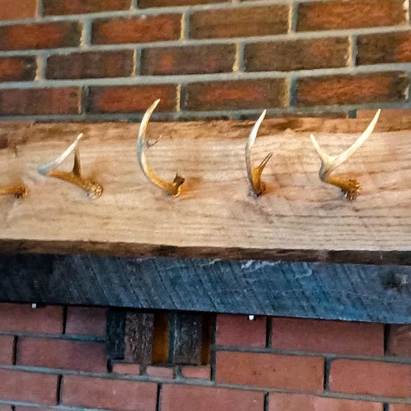 Antler Coat Rack - Etsy