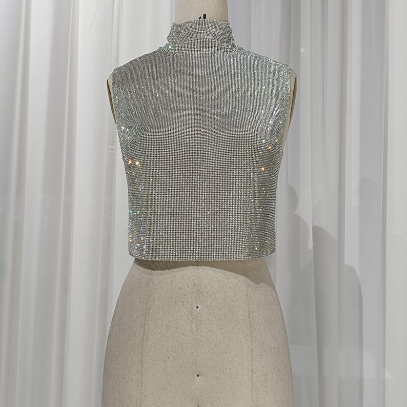 Handmade Rhinestone Mesh Crop Top – High-neck, Open Back Party Wear - Etsy