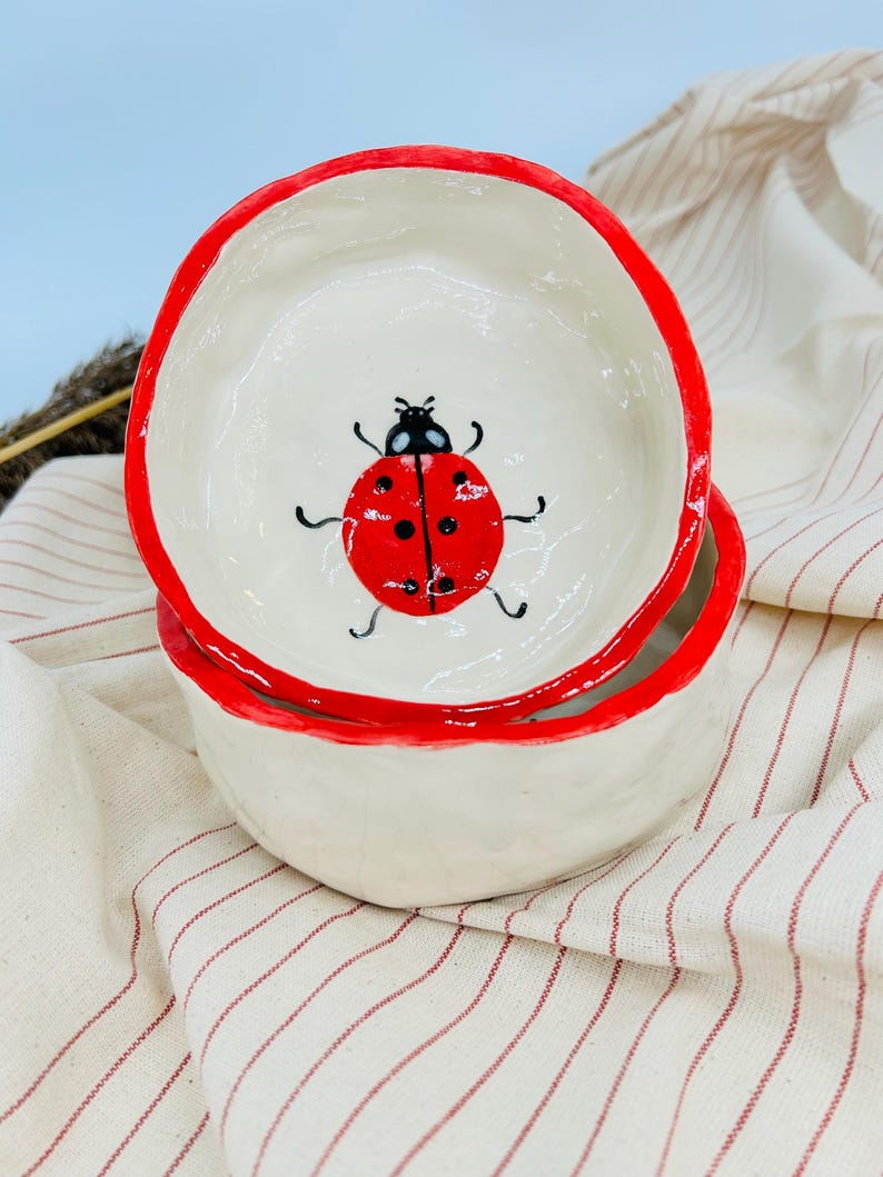 Handmade Ceramic Bowl: Ladybug Design, Whimsical Kitchen Pottery - Etsy