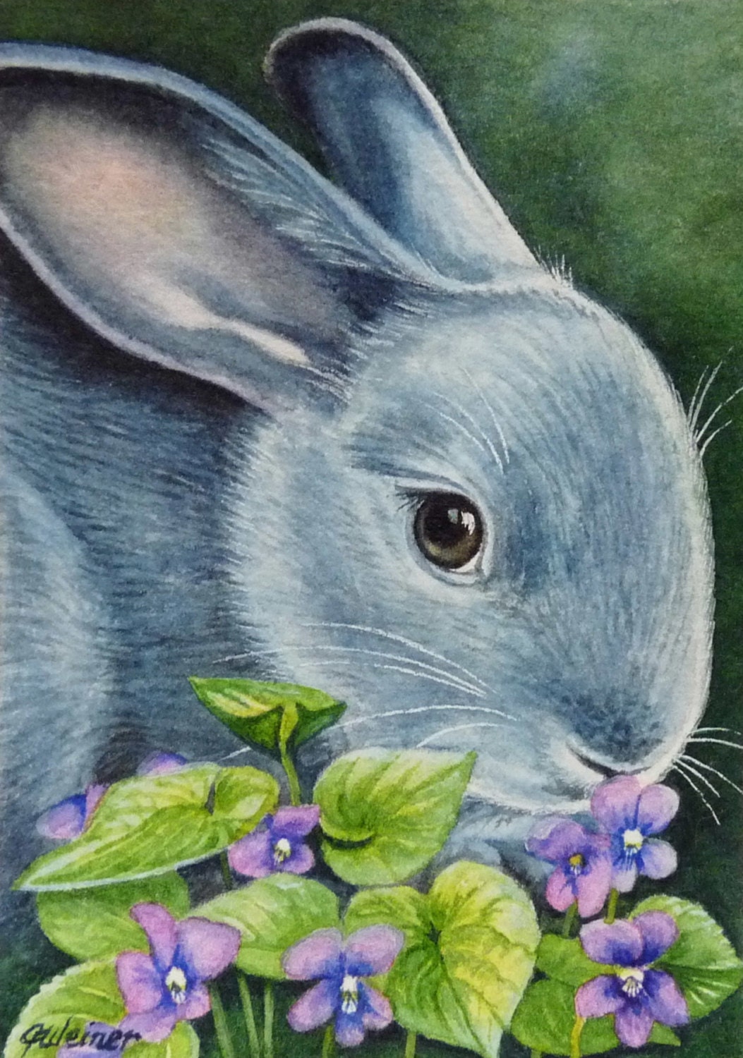 American Blue Bunny Rabbit & Violets Limited Edition ACEO | Etsy