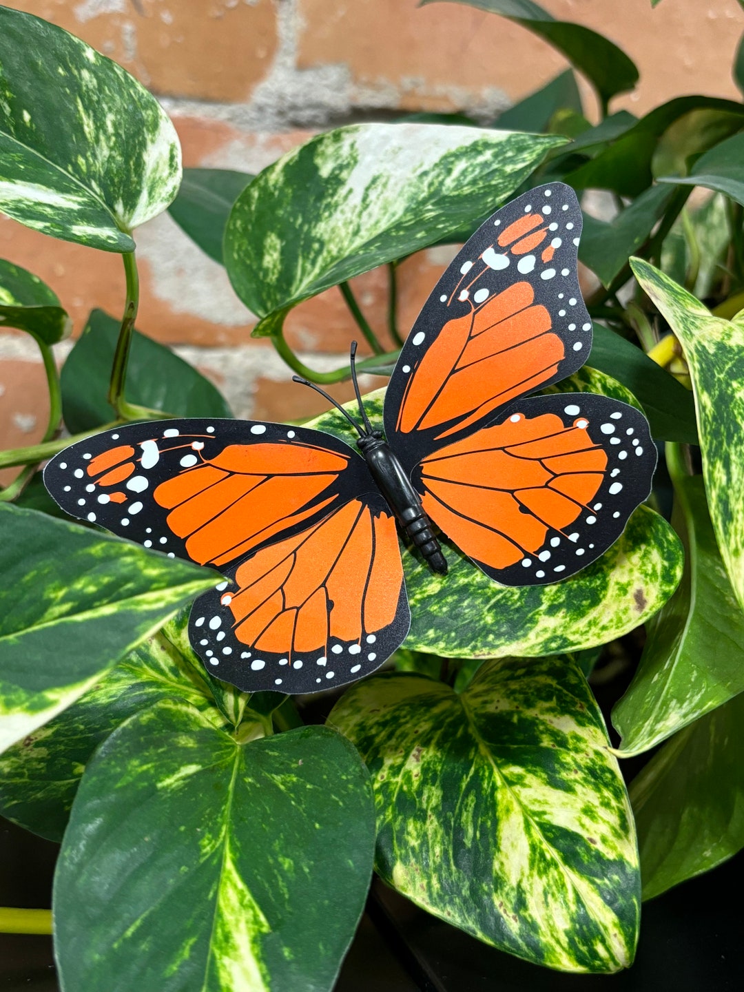 Monarch Butterfly Plant Magnet: Fun Houseplant Accessory - Etsy