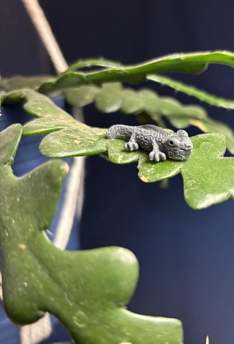 Lizard Plant Magnet: Fun Houseplant Accessory - Etsy