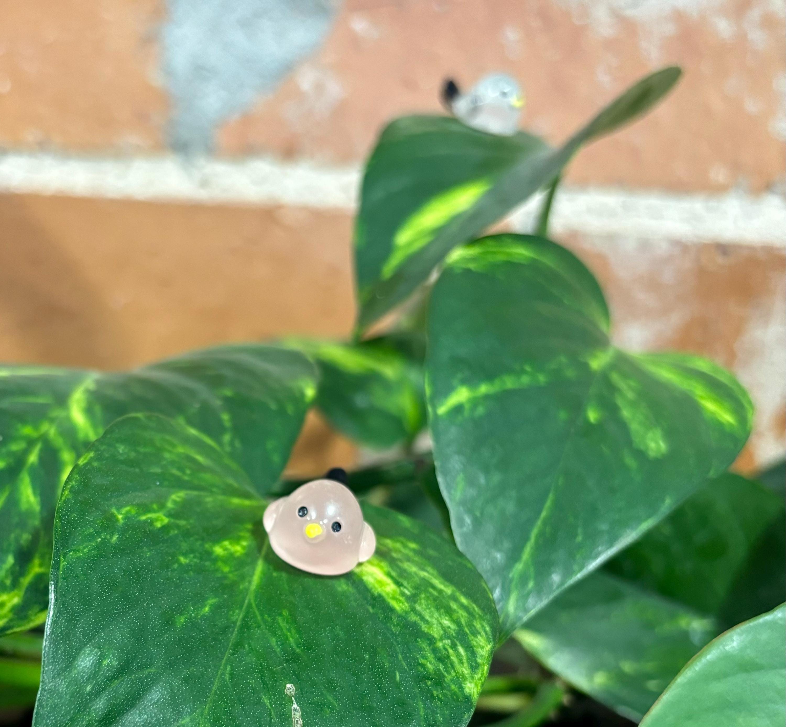 Bird Plant Magnet Glow in the Dark: Plant Buddy - Etsy